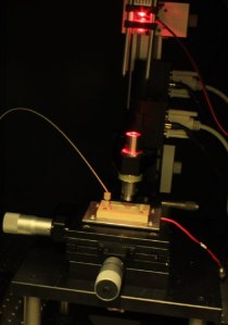 David Dulin lab – Biological Physics of Gene Machines