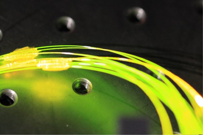 David Dulin lab – Biological Physics of Gene Machines